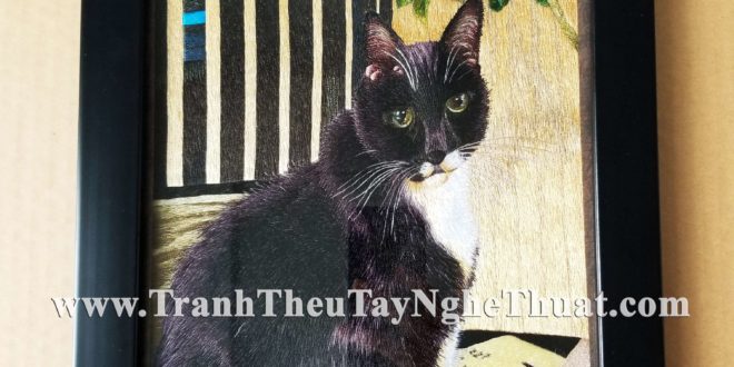 Câu Chuyện Cảm Động Đằng Sau Bức TRANH THÊU CON MÈO ESTAR Thêu Theo Yêu ...